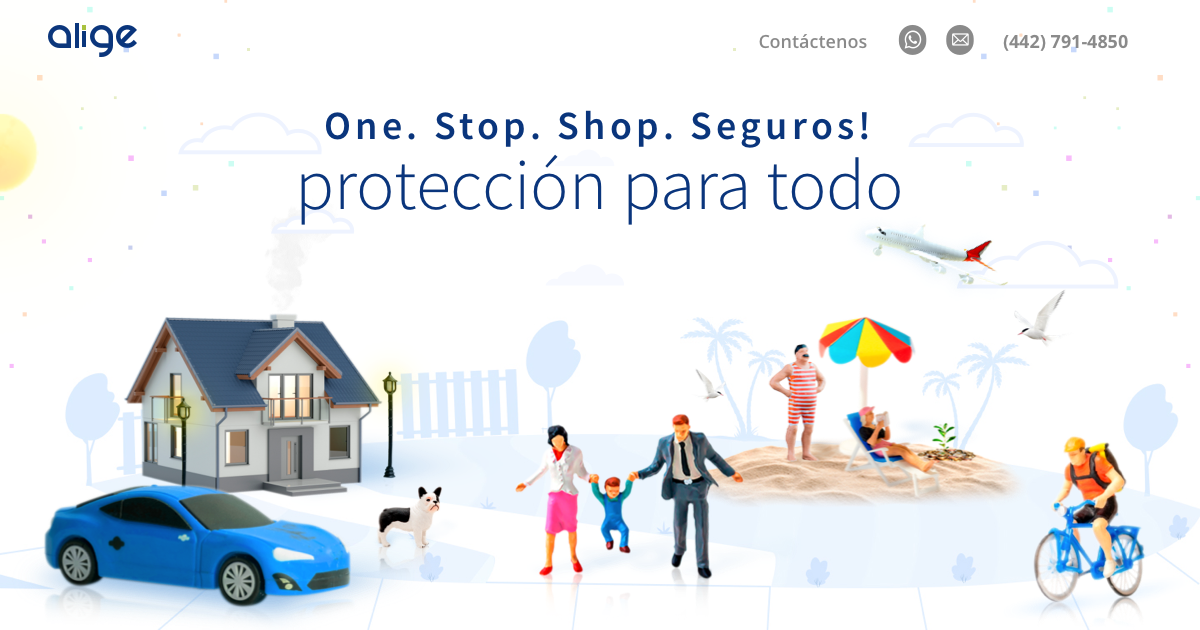 Alige – Somos una empresa comprometida en brindarte asesoría ...